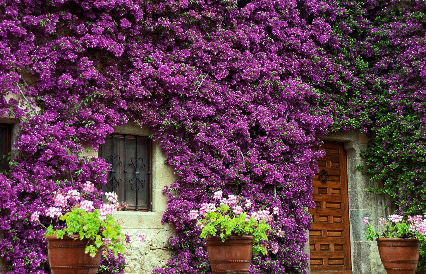 How To Have A Good Day - by Cheryl Dalsanders