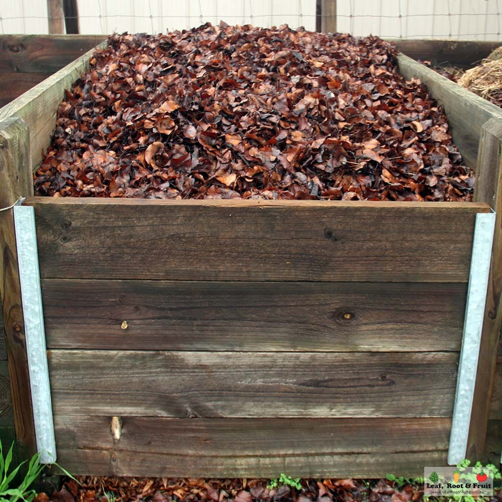 July 2023 Planting Guide and Garden Update