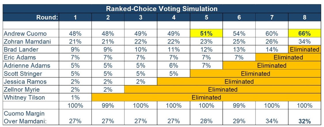 Does Zohran Mamdani Stand A Chance? - Nick Rafter Writes
