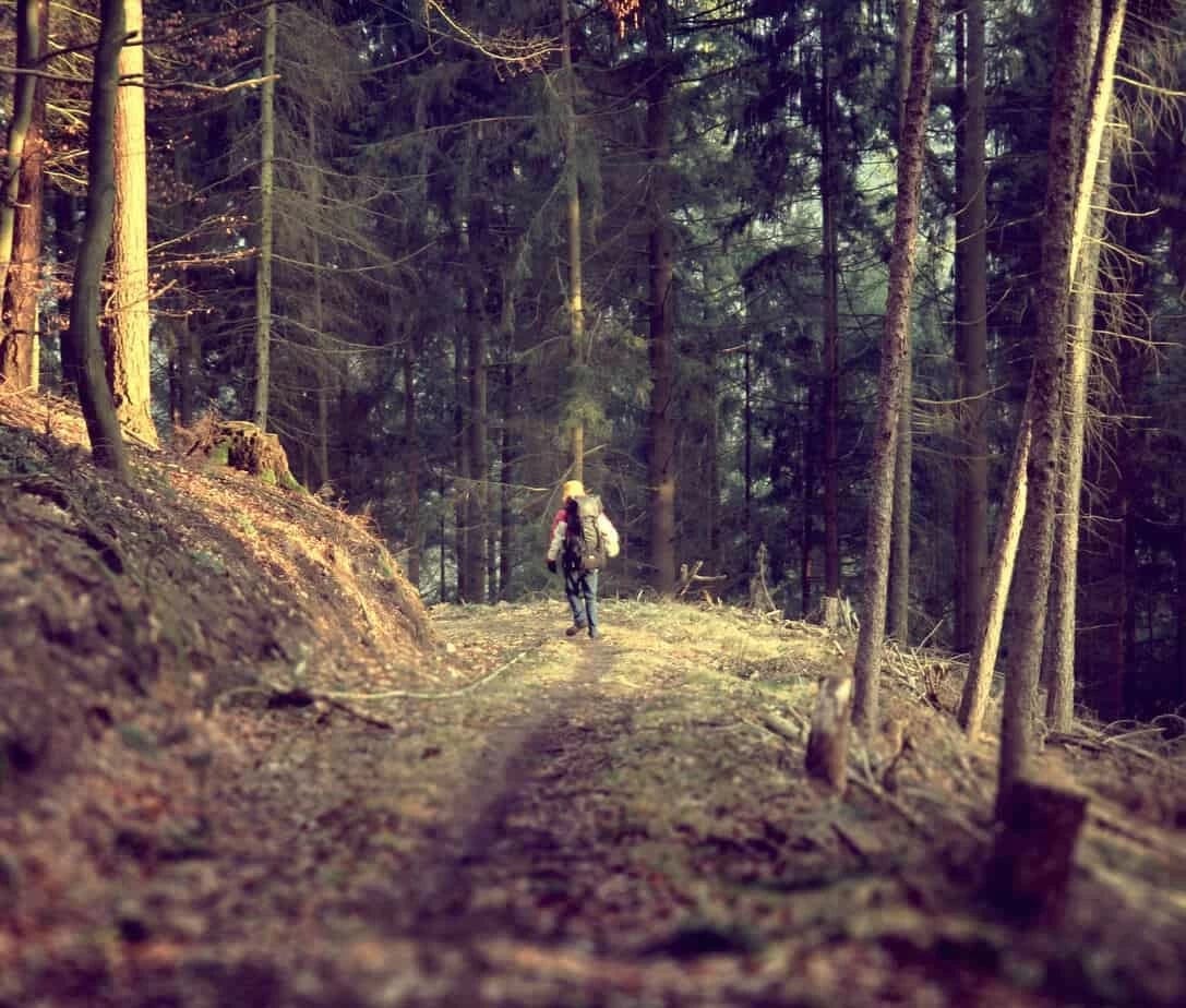 Missing 411: Unexplained Disappearances in the Wilderness