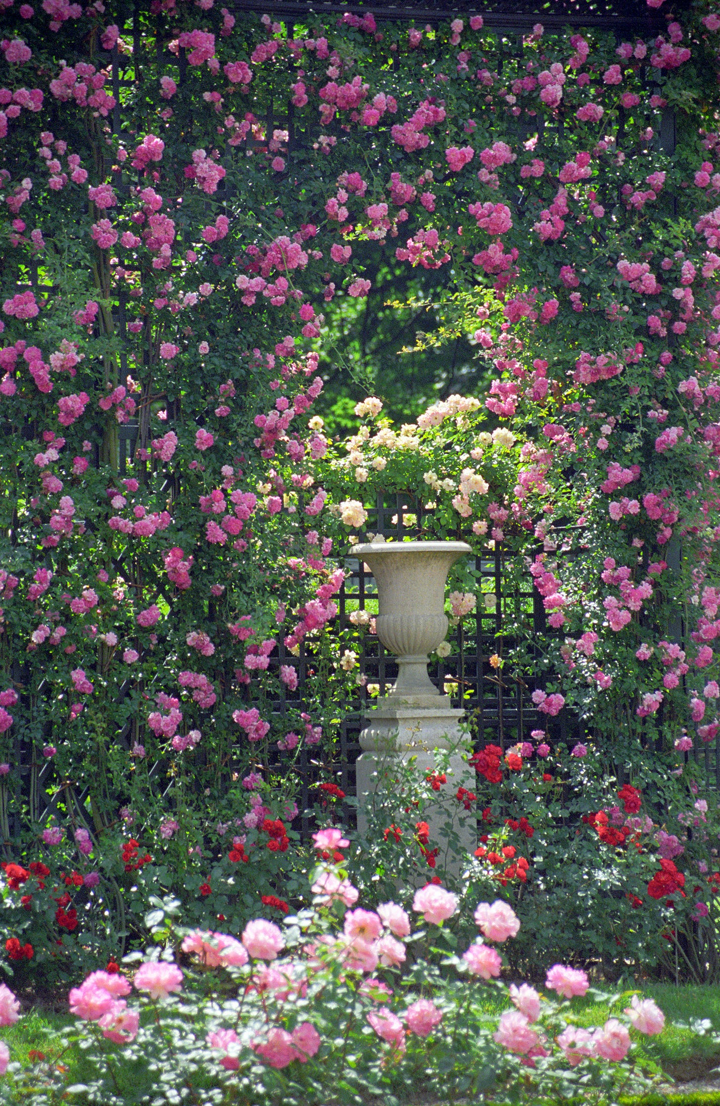 LIVING BEAUTIFULLY - by Cheryl Dalsanders