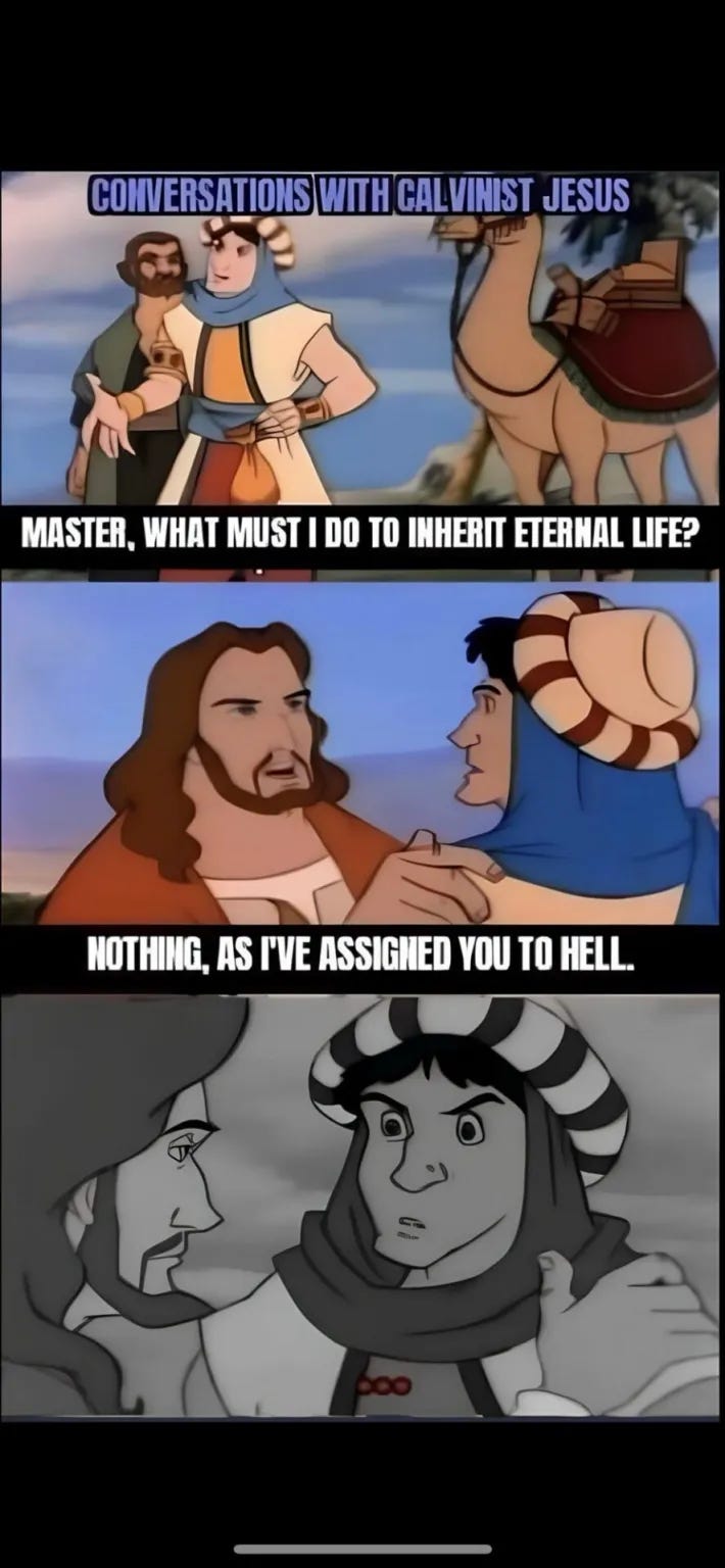 Barnhardt Meme Barrage - Edwin’s Newsletter #1