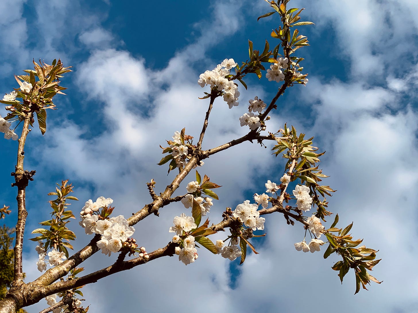 Full Moon Hello - by Hannah Robinson - Hannah’s Substack