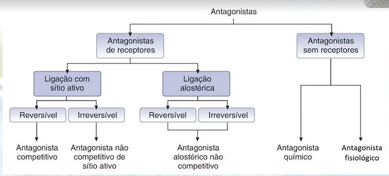 Agonismo e Antagonismo: Conceitos Essenciais na Farmacologia