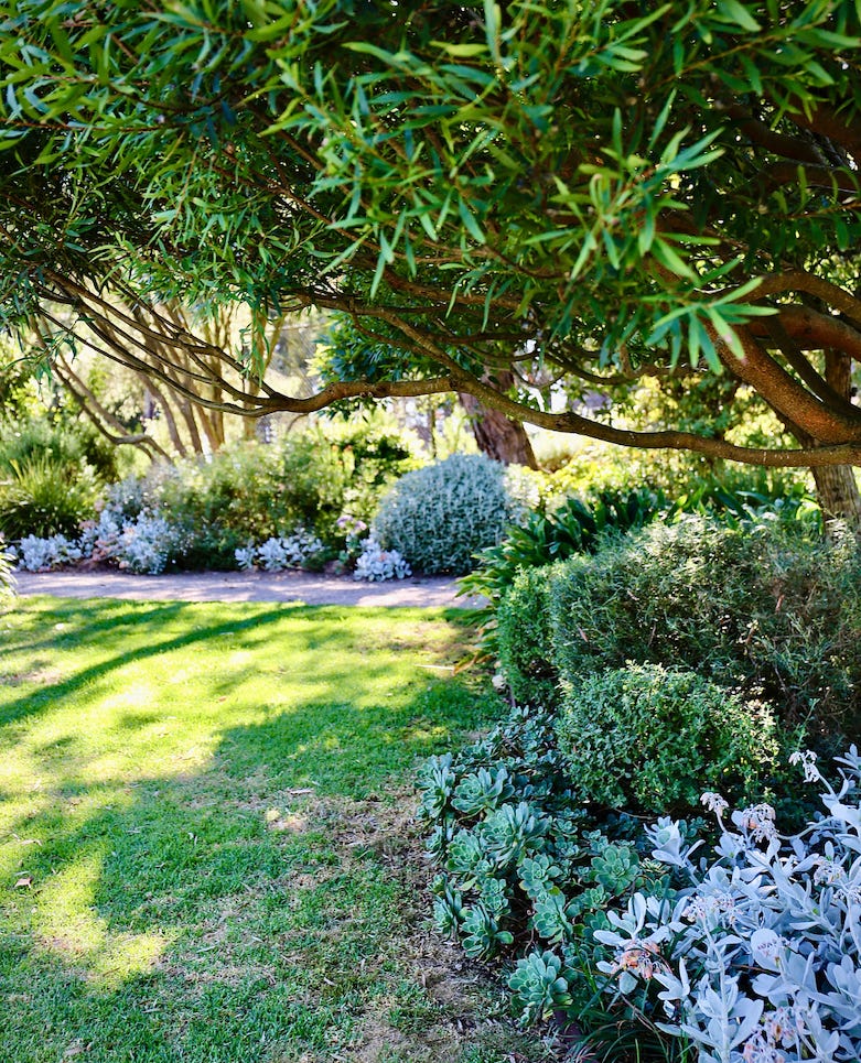 The Garden Gadabout - The Garden at Moorfield
