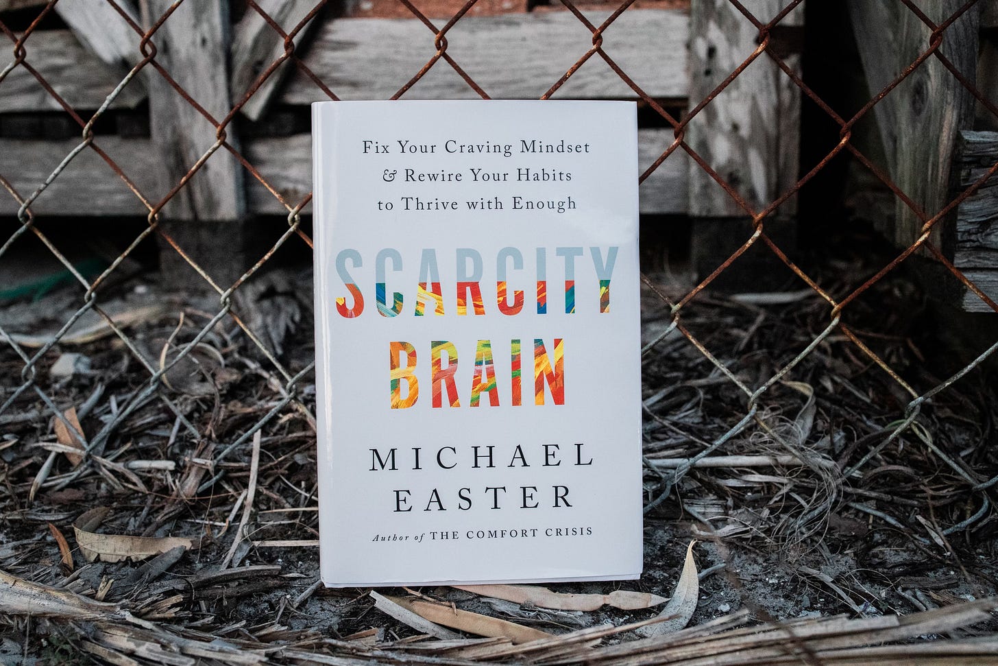 Scarcity Brain vs. The Comfort Crisis: Differences and Similarities