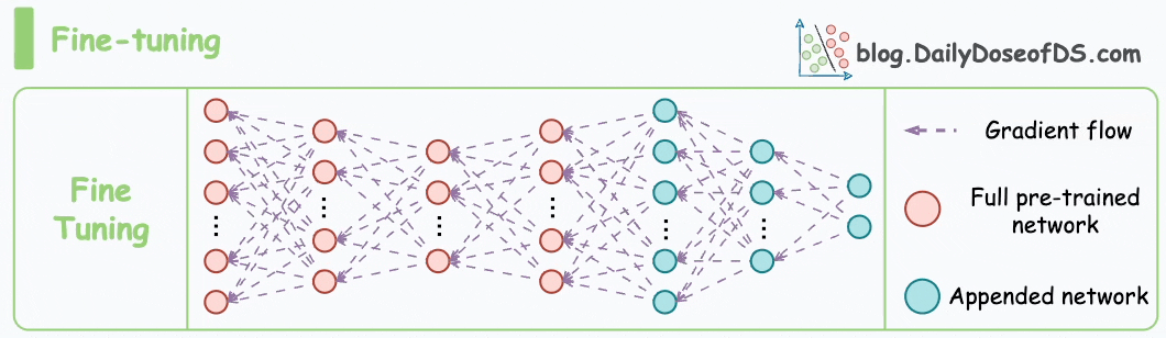 Transfer Learning vs. Fine-tuning vs. Multitask Learning vs. Federated Learning