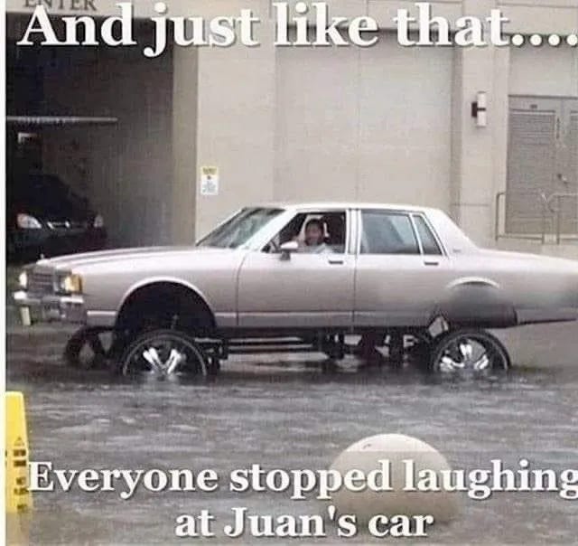 Ann Barnhardt Meme Barrage - Edwin’s Newsletter #1