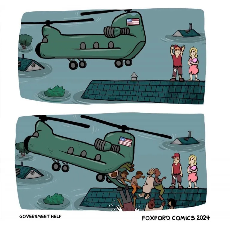 Ann Barnhardt Meme Barrage - Edwin’s Newsletter #1