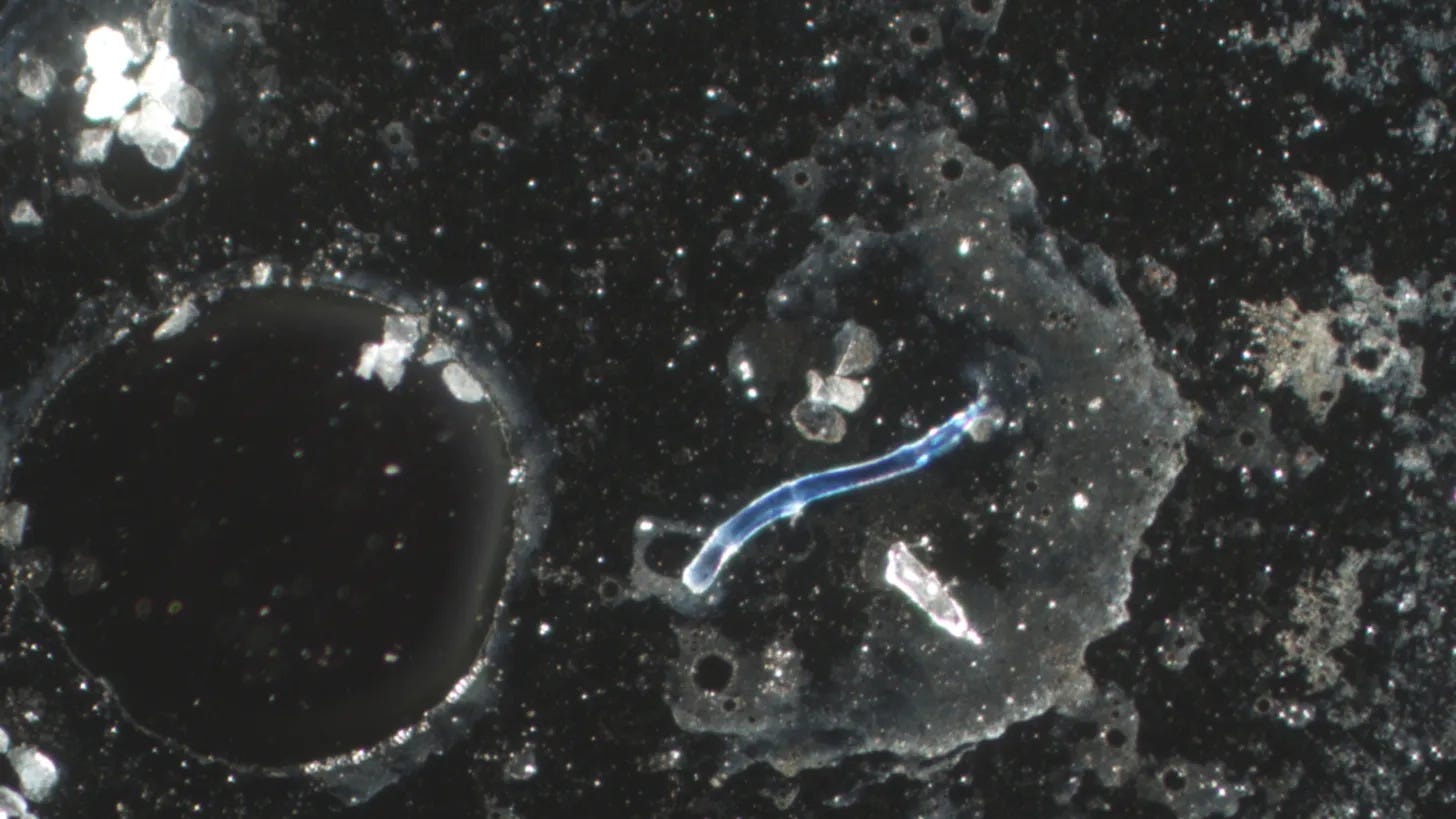 Bioenergetics 103: "The Lakhovsky Multiple Wave Oscillator Handbook"