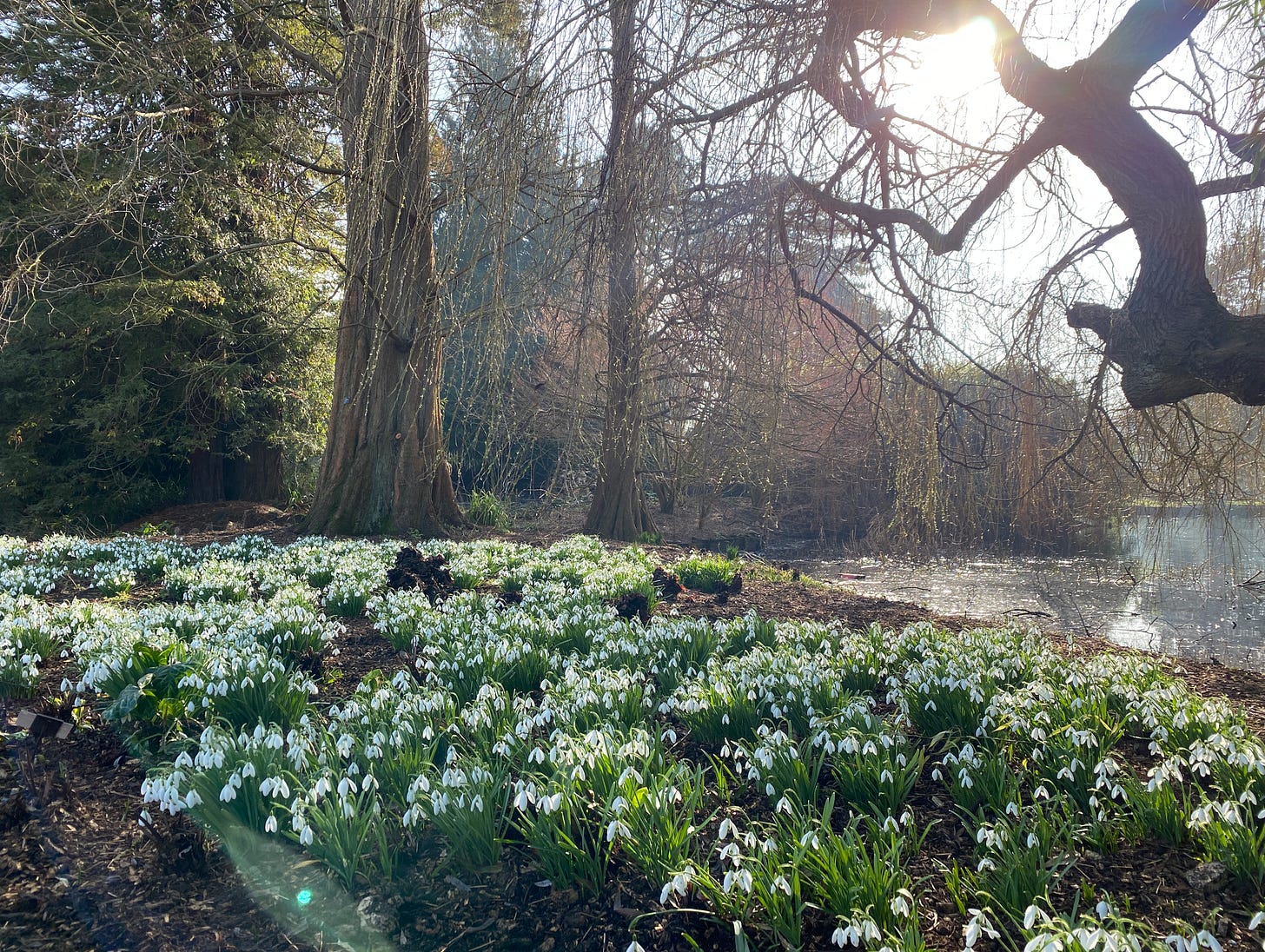 snowdrops - by Jane Brocket - yarnstorm