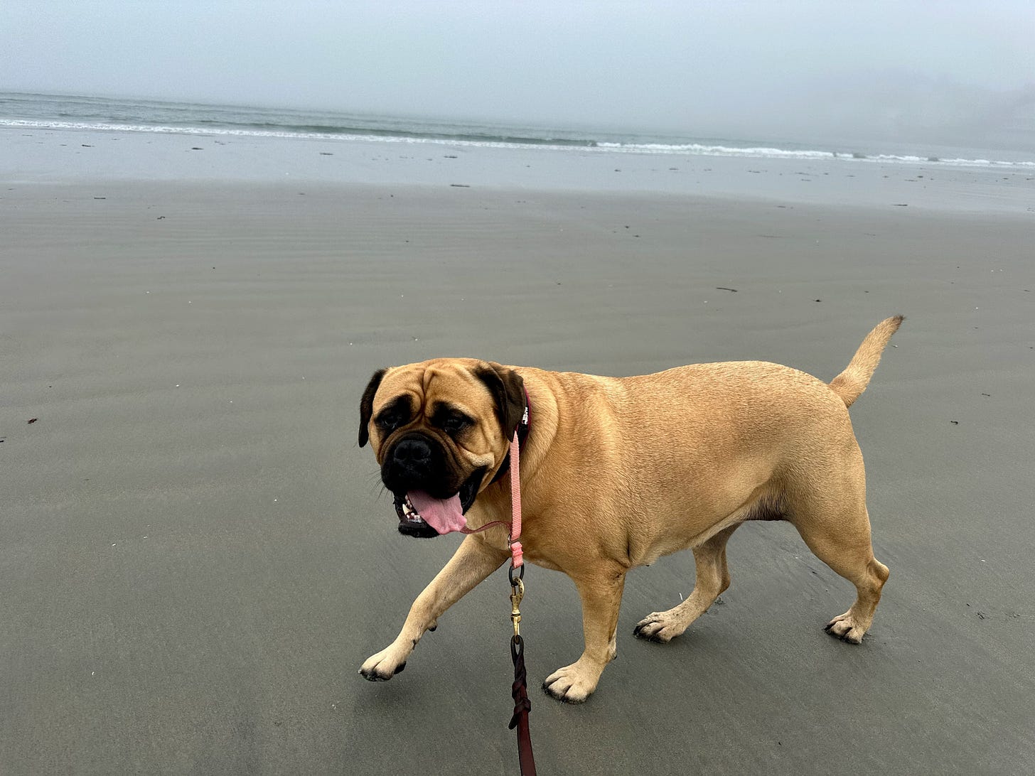 Cocktails With Suderman | Peter Suderman | Substack