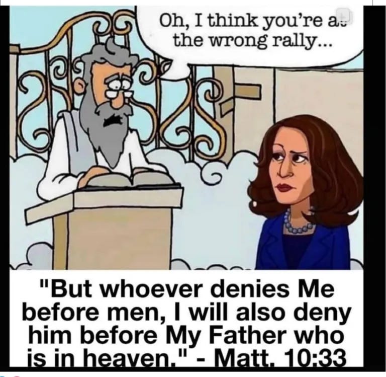 Ann Barnhardt Memes - Edwin’s Newsletter #1