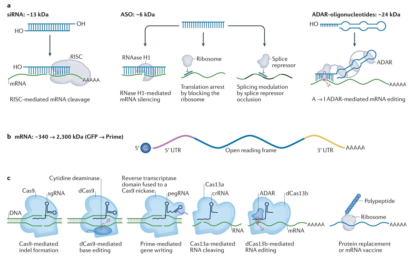 Cellular shuttle systems - by Elliot Hershberg