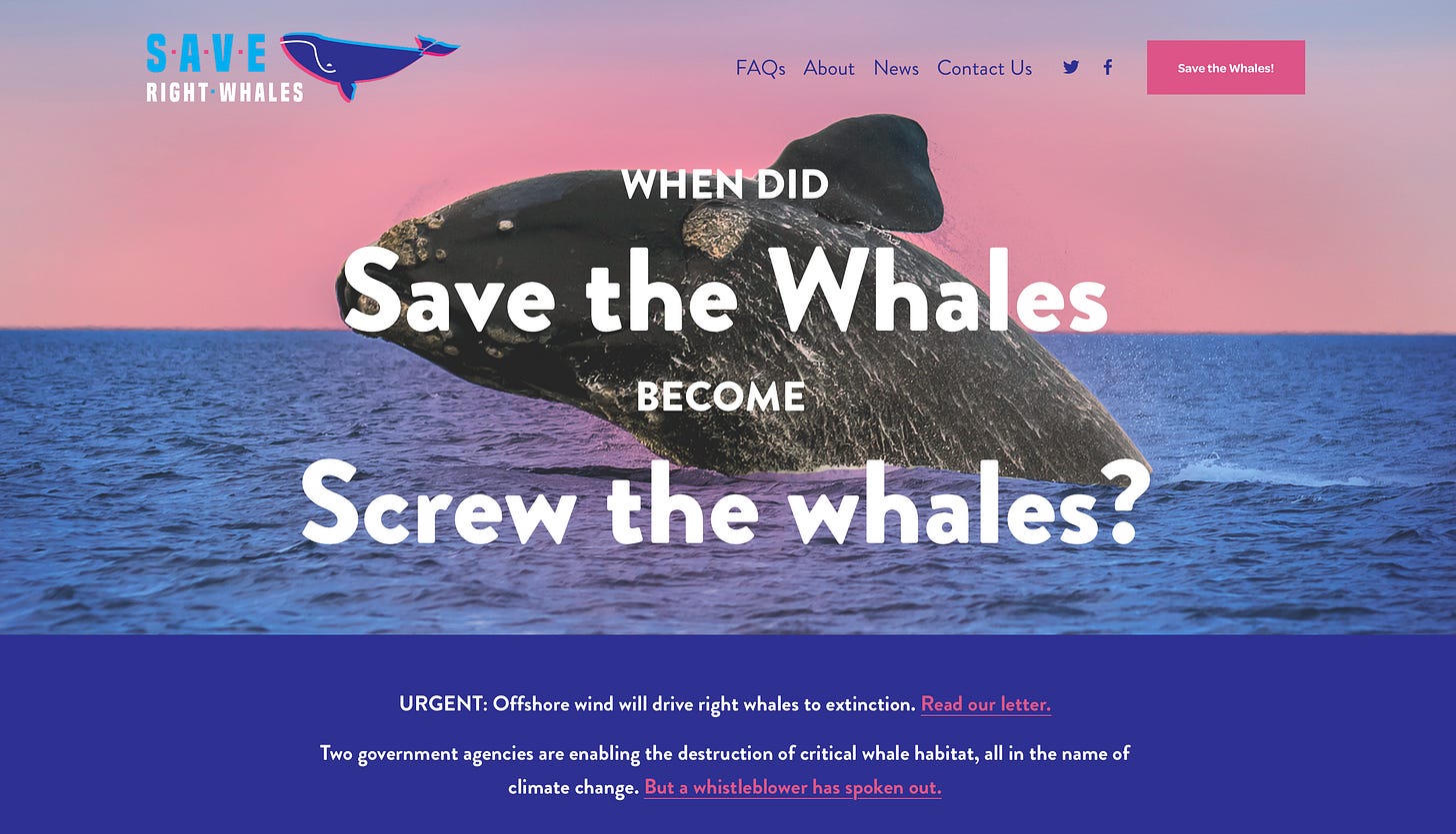 Momentum Grows To Save The North Atlantic Right Whale