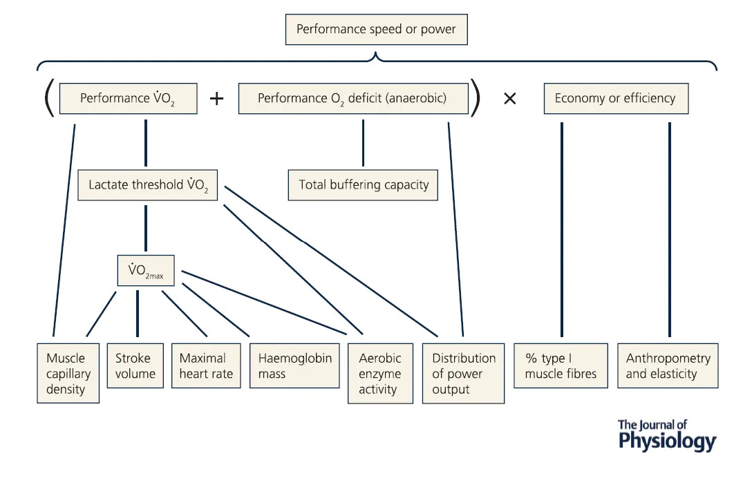 Is VO2 Max the Best Measure of Fitness and Performance?