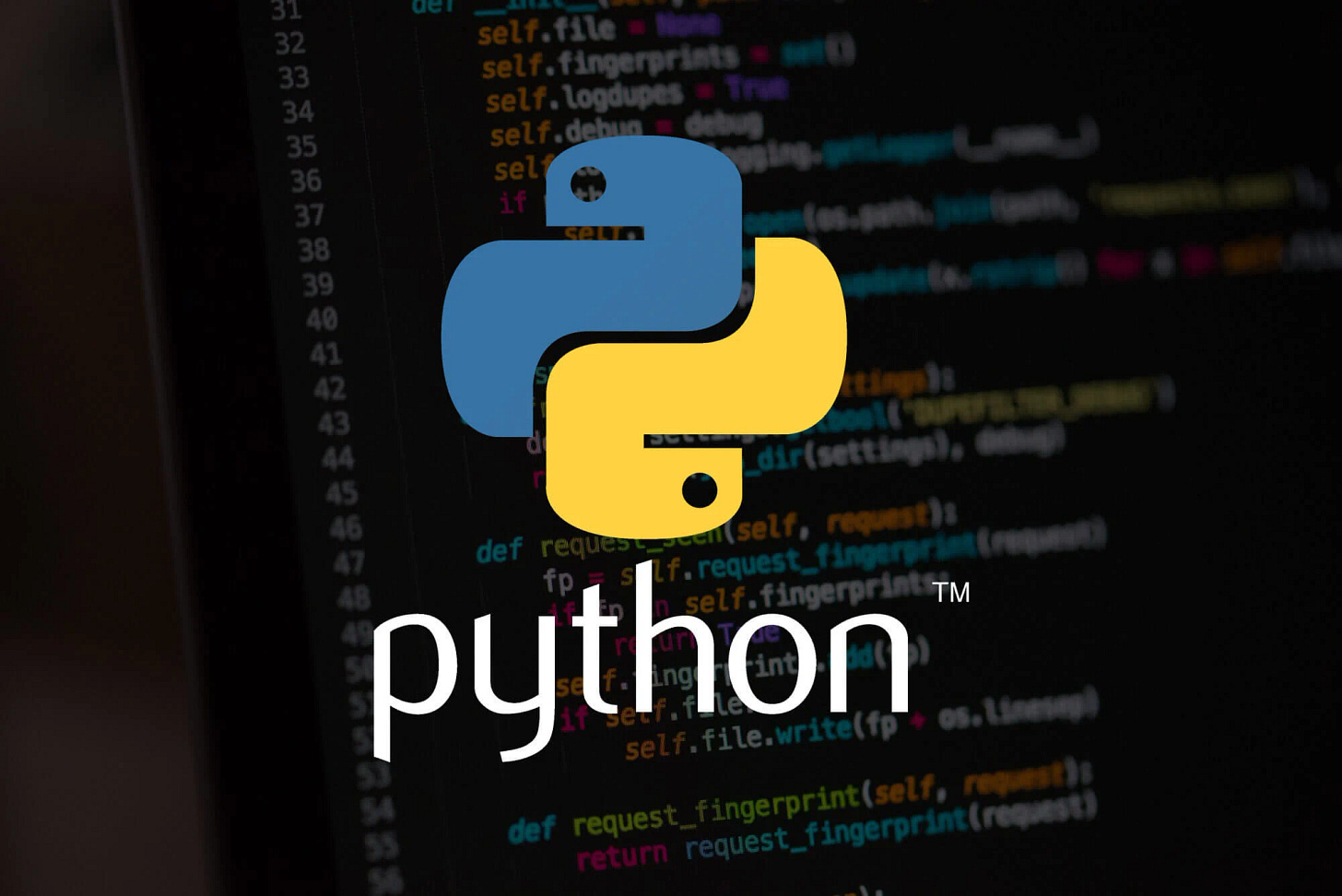 #010 - A Roadmap for Learning Python for Civil/Structural Engineering