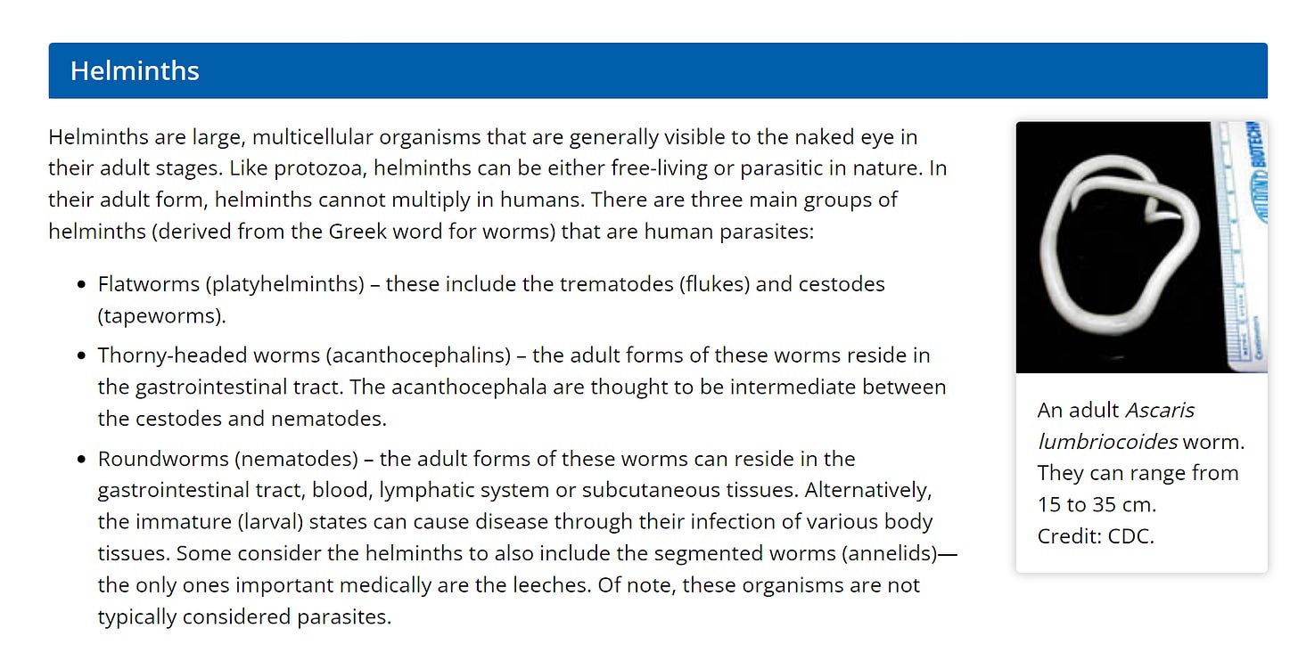 Cancer and Parasites - Tom Renz’s Newsletter