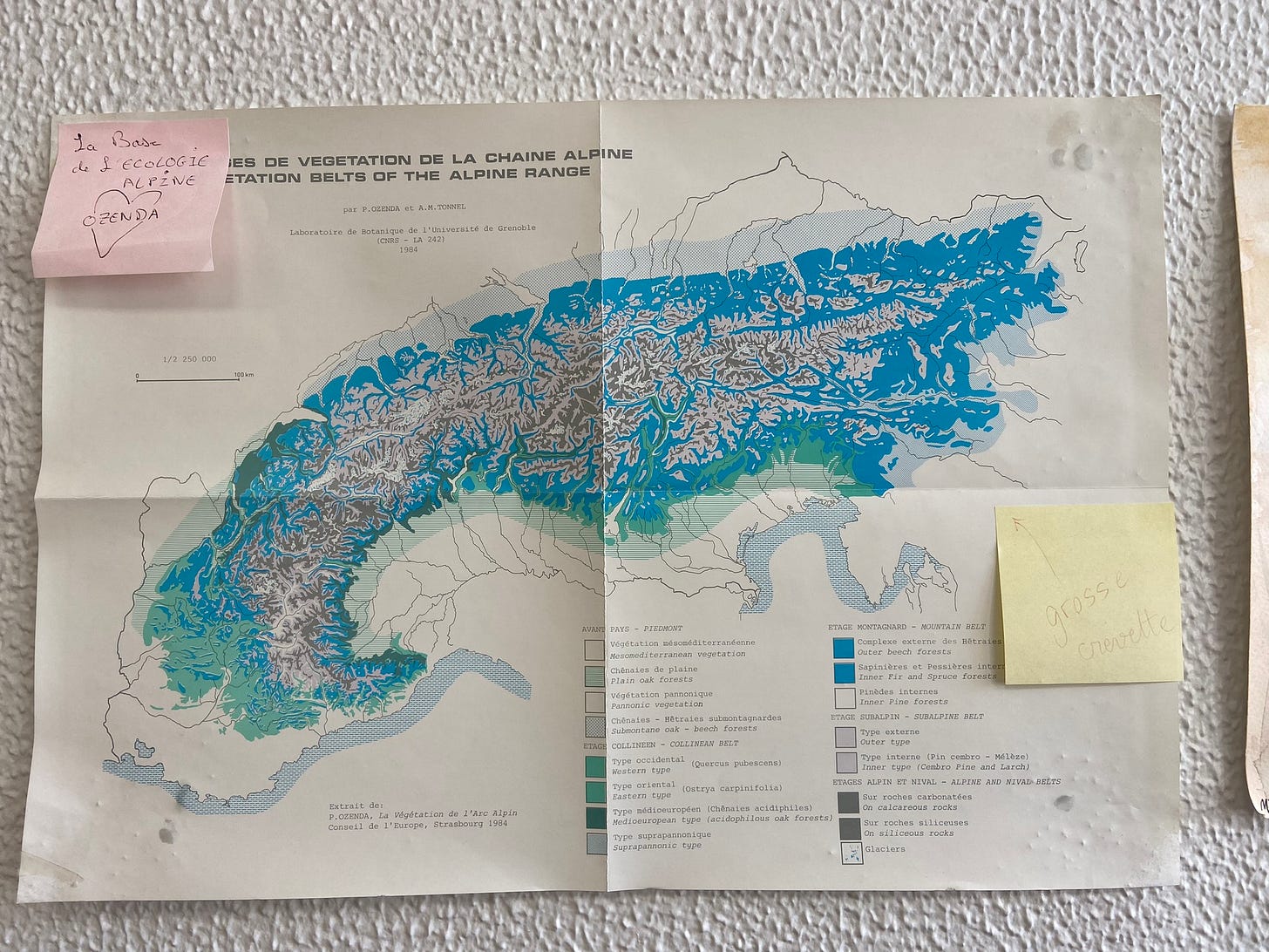 All the plants in the Alps - by Anne Thomas