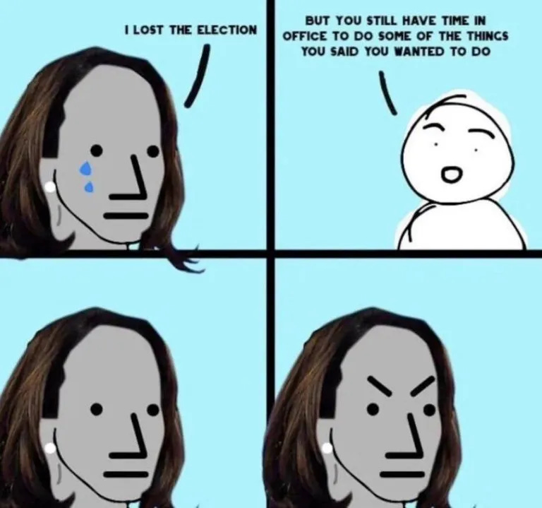 Ann Barnhardt Memes - Edwin’s Newsletter #1