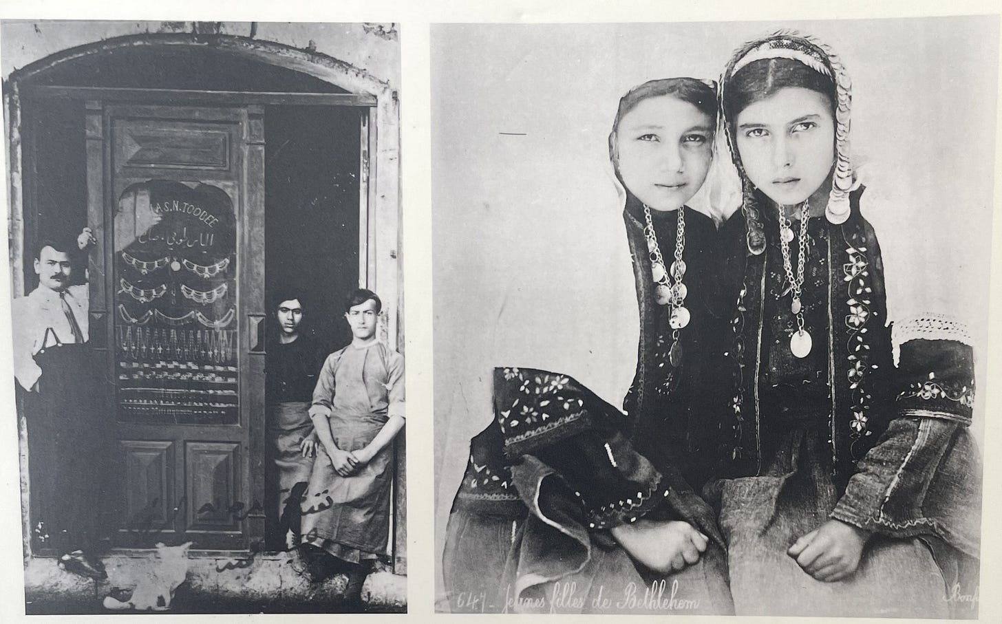 Exit the Cuckoo's Nest: "Zionist Friends Need Company – Part I: Birds ...