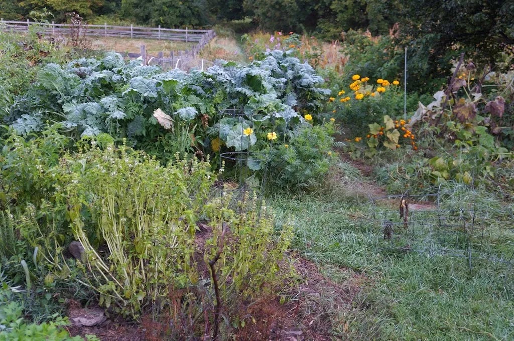 How to Use Different Garden Methods to Improve your Gardening