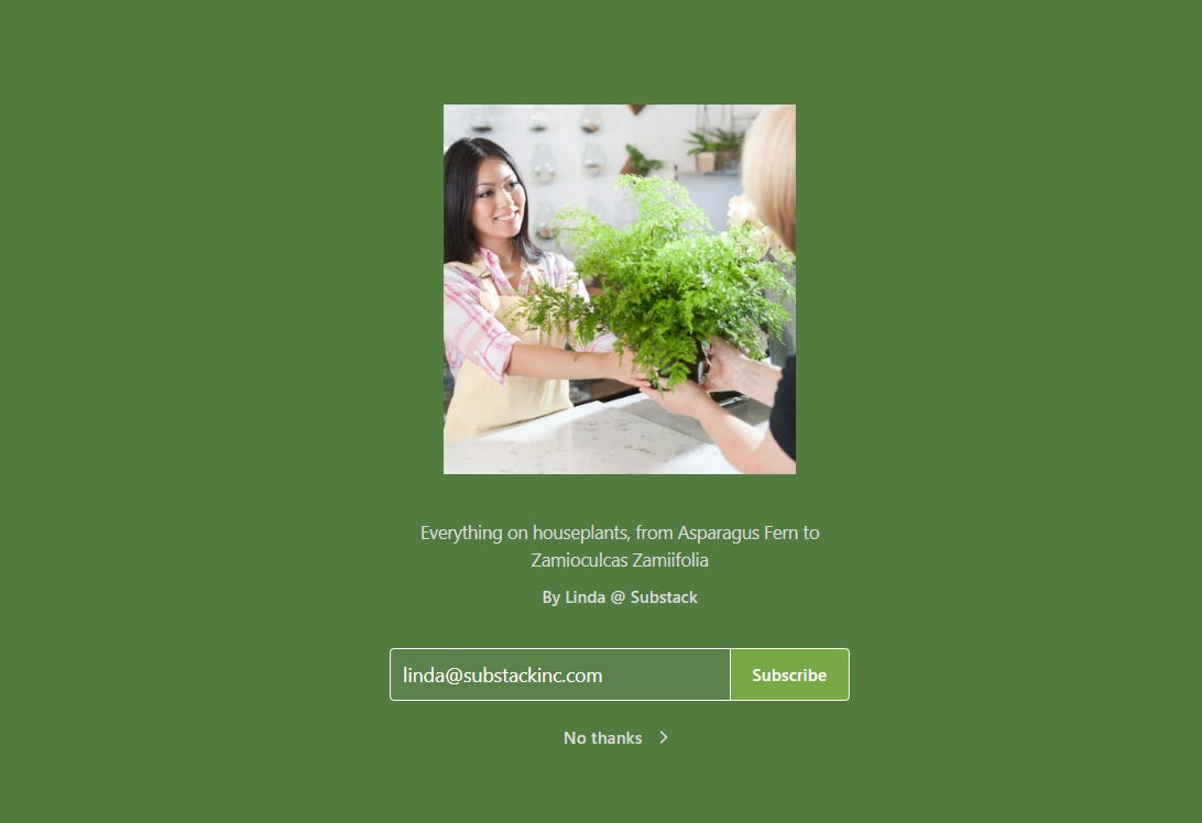 Creating a visual identity for your Substack