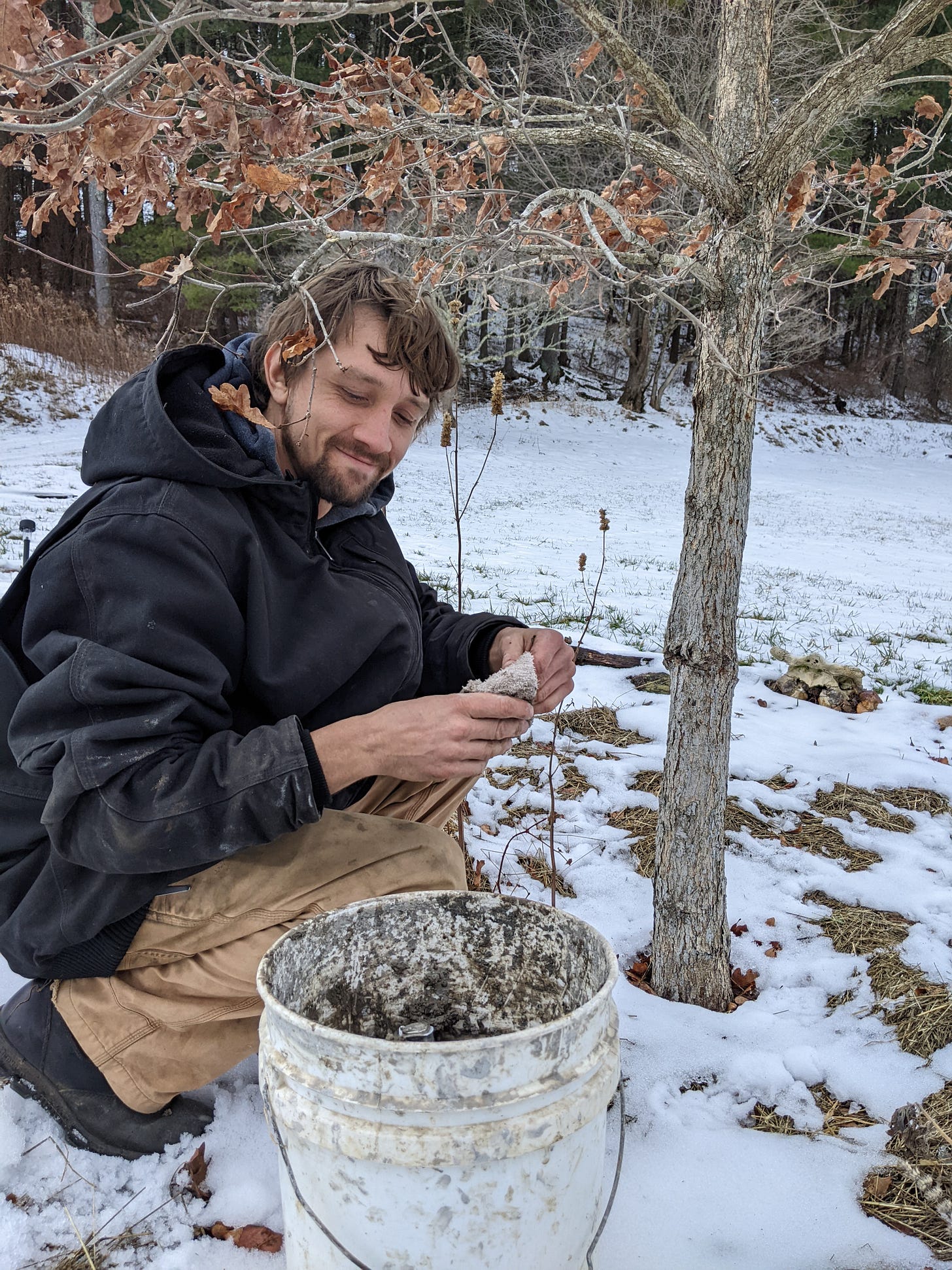 Biodynamic Tree Paste Recipe - by Stewart K Lundy