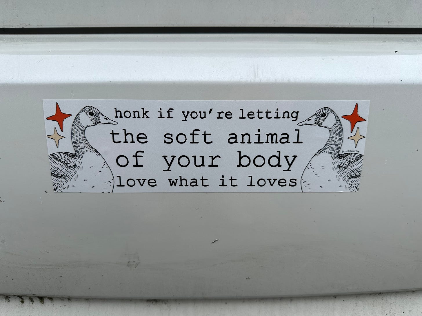 Honk if you're letting the soft animal of your body love what it loves
