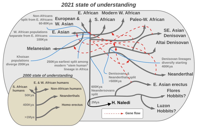The modern human conquest of earth