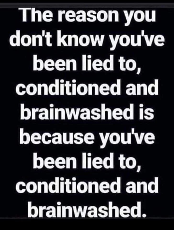 TRIGGER MEMES - by Frances Leader - Uncensored