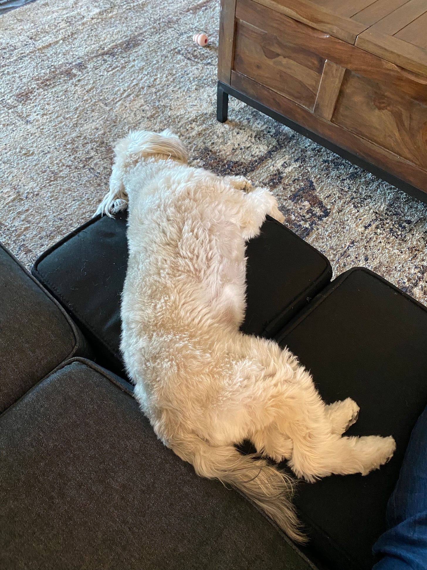 Experiment #3: Writing longhand - by Roni Loren