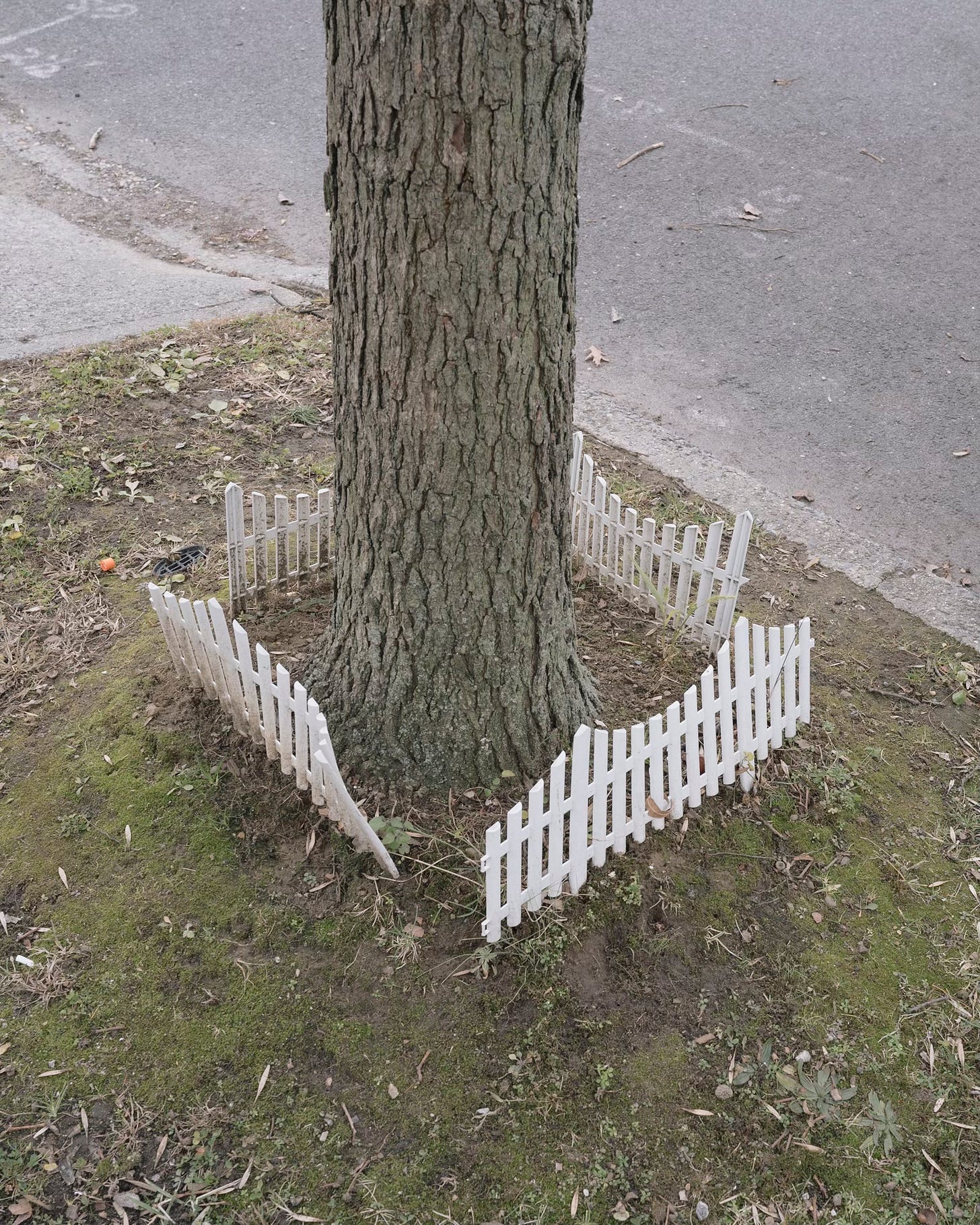 Rosebank - Staten Island - by Rob Stephenson