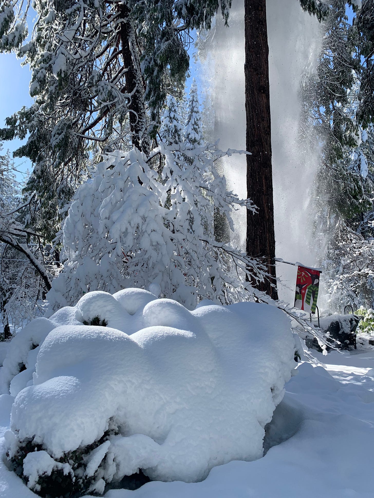 Lighten Up when the Power Fails - by Darby Lee Patterson