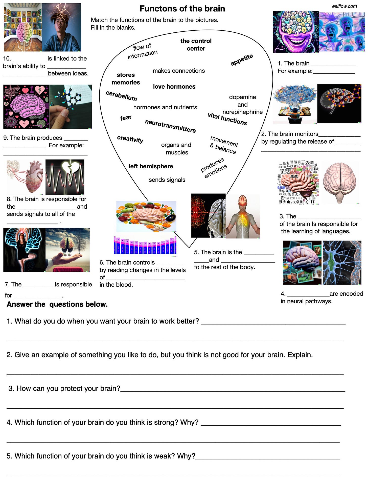 Functions of the brain (updated) - by Peter Snashall