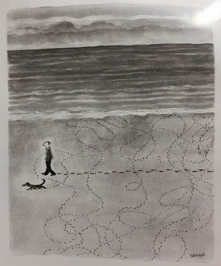 Sempé's cats and dogs - by Bailey Richardson - Art Dogs