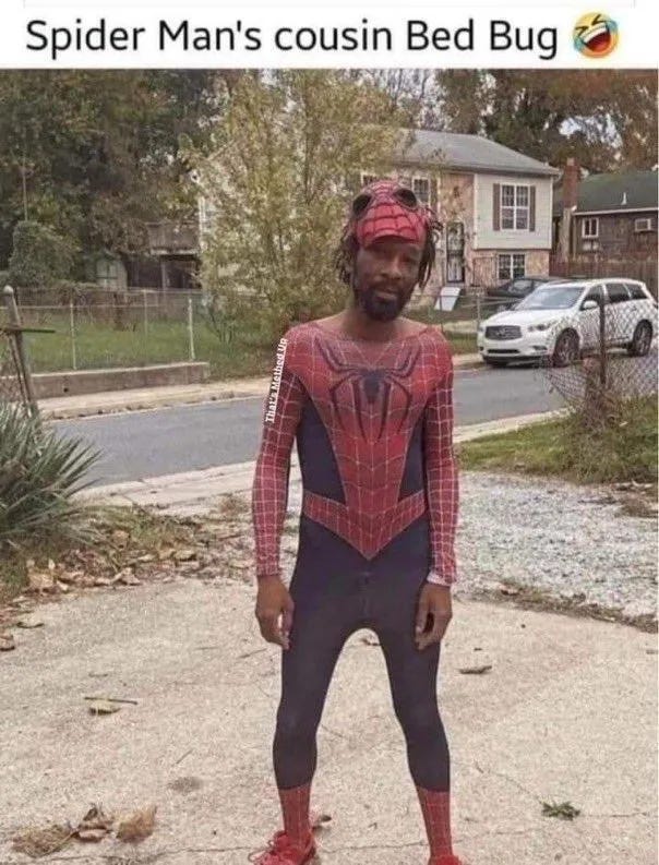 Barnhardt Meme Barrage, 5 May 2024 - Edwin’s Newsletter #1