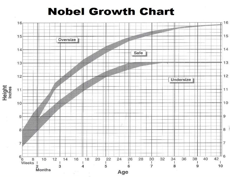 Is Sheltie Size a Mystery to You?