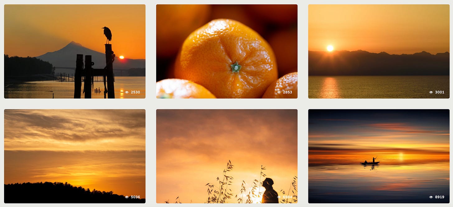 Where to Get Free Stock Photography - by Casandra Campbell