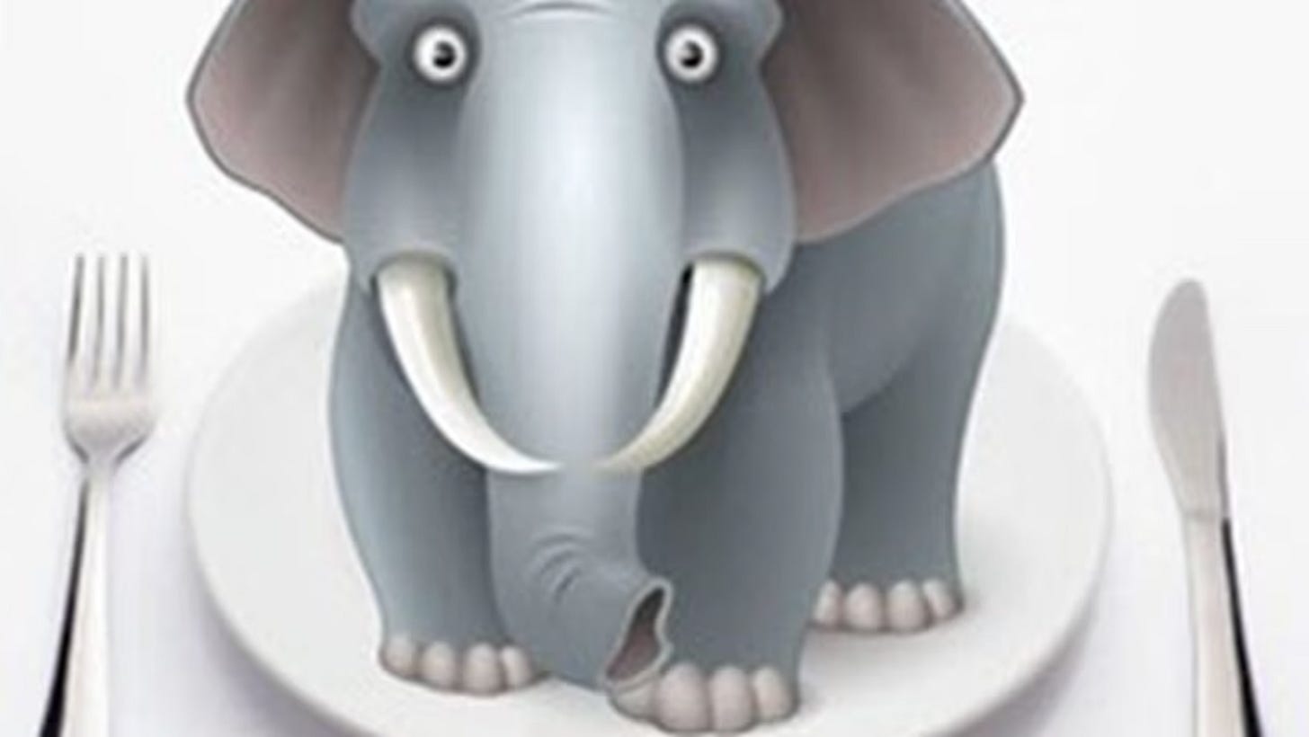 5 Reasons Why I'm Eating an Elephant - by Jake Blair