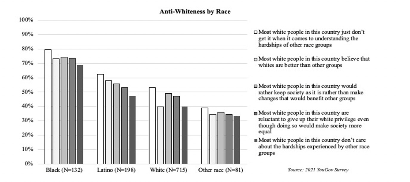 Survey of Anti-White Attitudes – Twelve Years Not A Slave