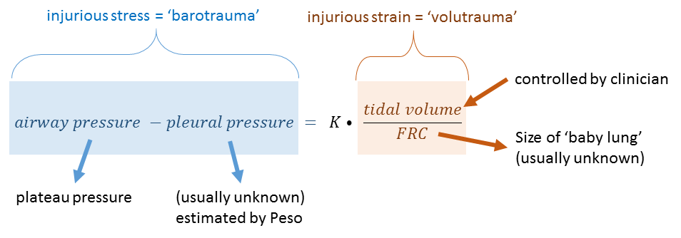 ICU Physiology in 1000 Words: Volutrauma or Barotrauma?