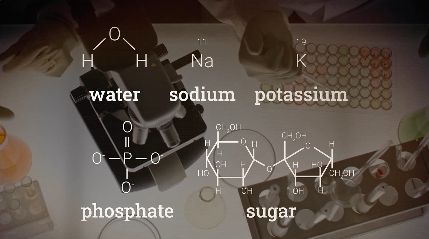 How Four Scientists Created Gatorade and Became Billionaires
