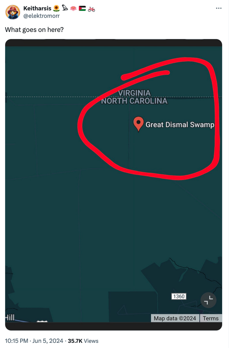 The Great Dismal Swamp isn't as great, dismal, or swampy as it used to be