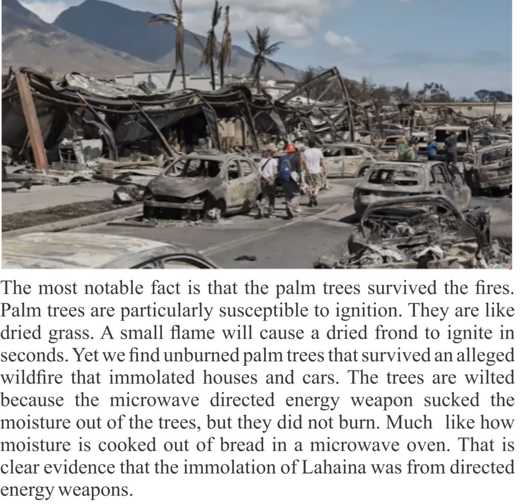 Expert Forensic Arborist Explains That Unburned Trees Are Clear ...