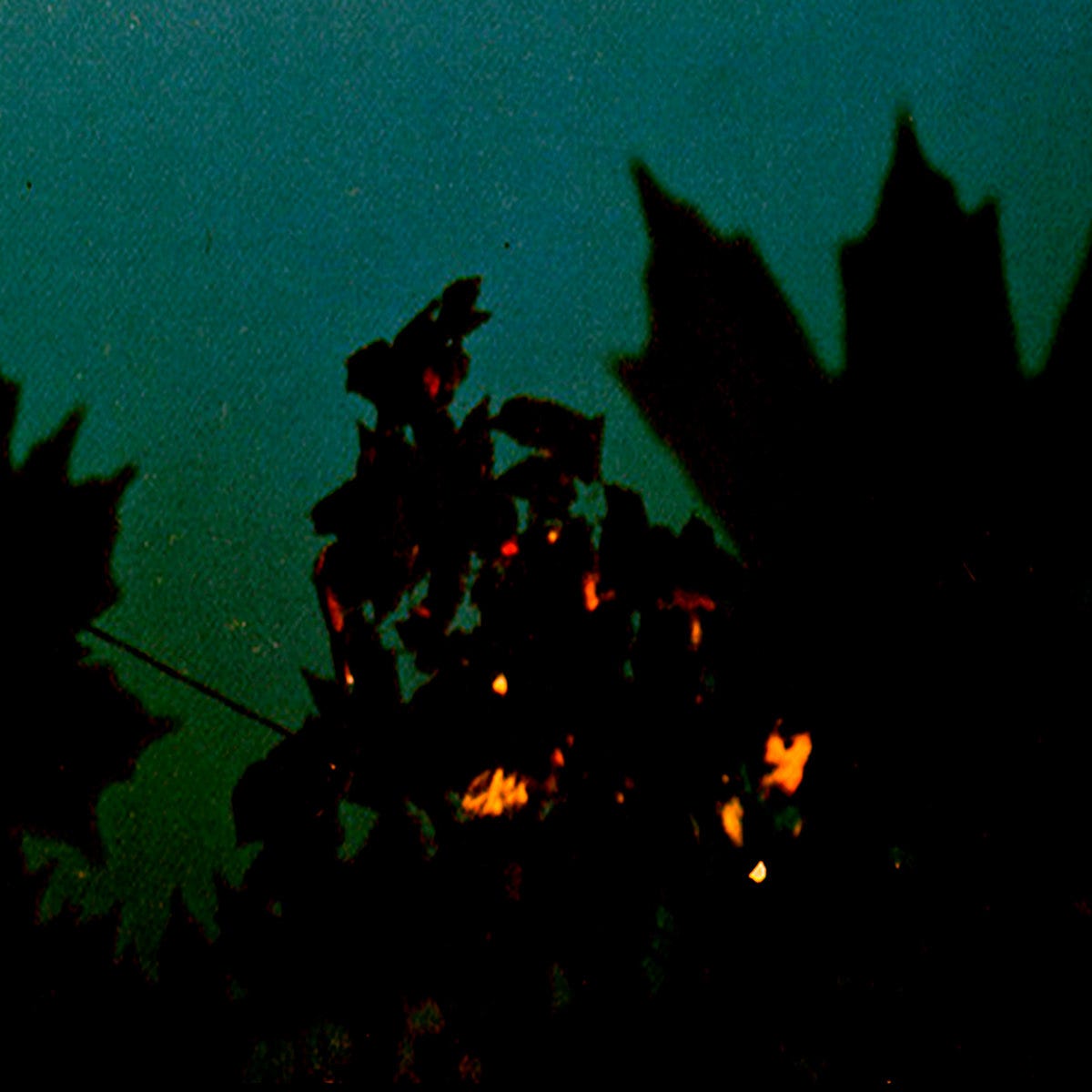 Le surlignage, une stratégie à encadrer