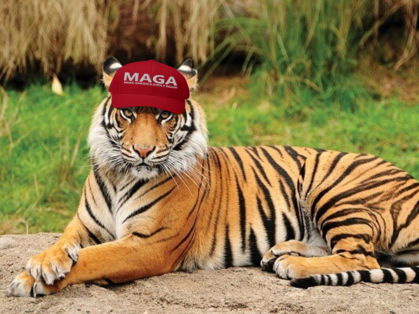 Riding the Tiger - Substantial Disruption by Mike Tully