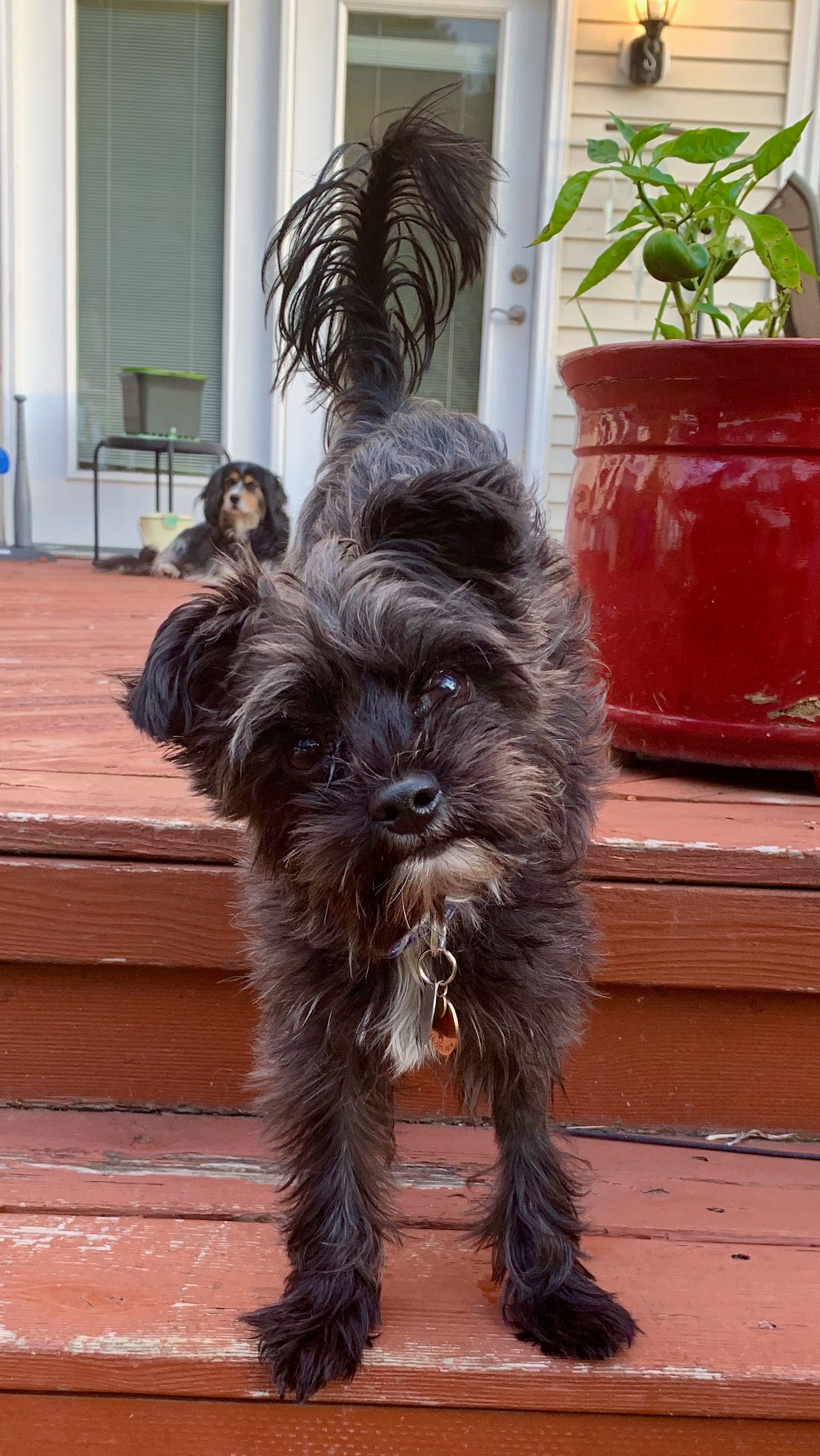 Howdy From Rumbling, Tumbling Me - by Connie Schultz