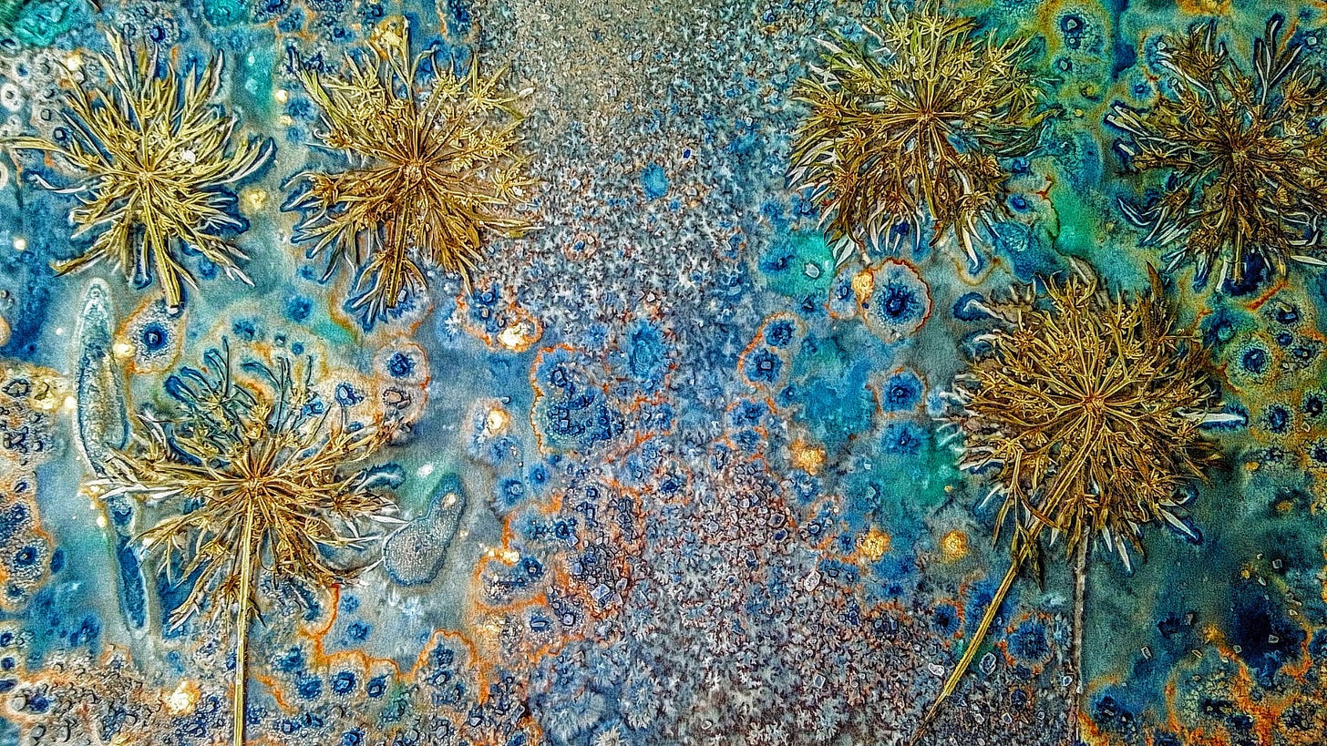 Part Science, Part Alchemy … The Art of the Cyanotype