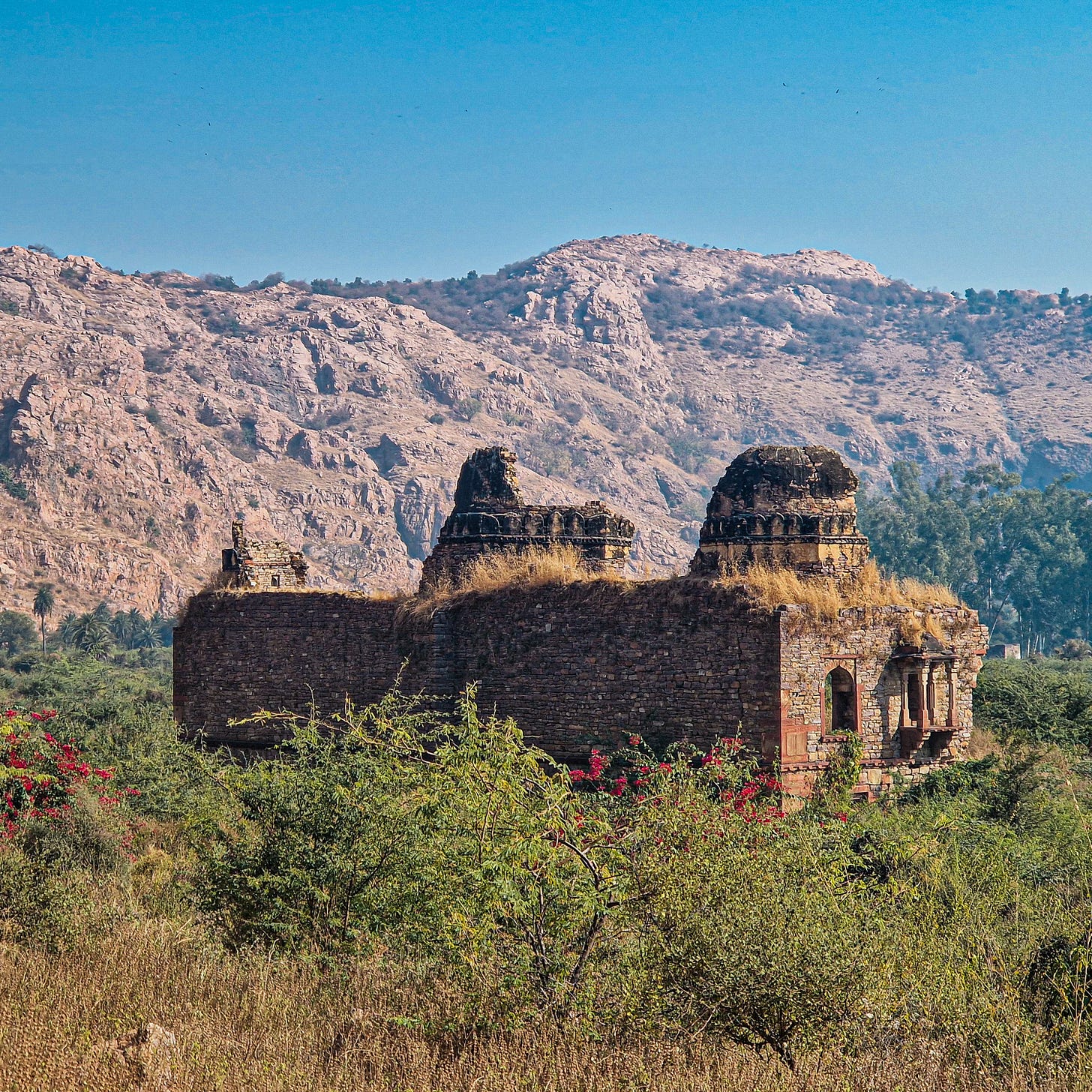 Bayana: India's Forgotten Capital - by Sam Dalrymple